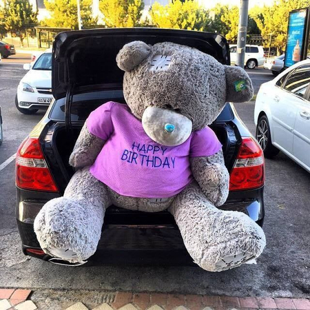 Teddy va Boshqa yumshoq oʻyinchoqlar