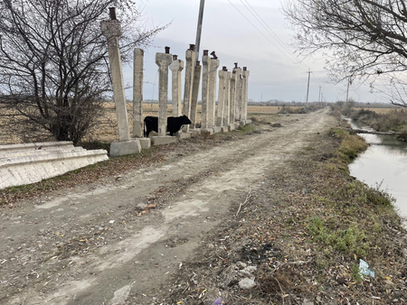 Битон балкалар сотилади камплект хамма нарсаси бор чашка стойка