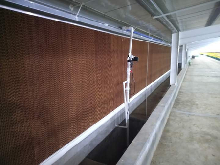 Gofra tovuq fermalar uchun