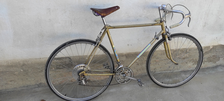 Velospeed gonshik