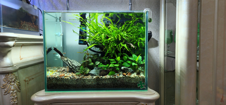 Аквариум Akvarium