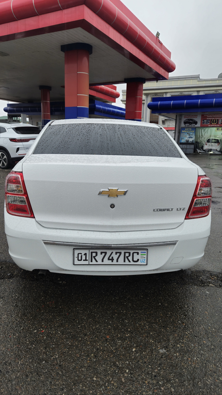 Cobalt 2024  Kraska Toza 11.800 km