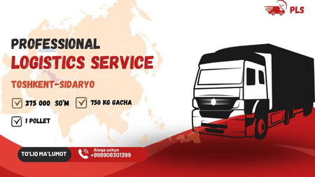 Professional logistic servis