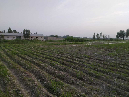 Продается земля в Аккурганском районе Таш области