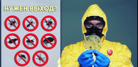 ДЕЗИНФЕКЦИЯ дезинсекция дератизация