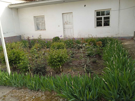 UY sotiladi (hovli)