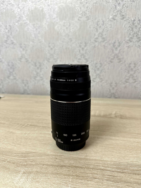 Canon EF 75-300mm f/4-5.6