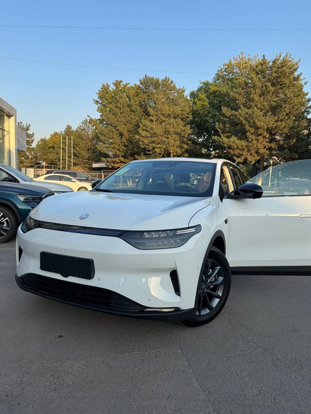 Leapmotor C11 Smart 510km 2024