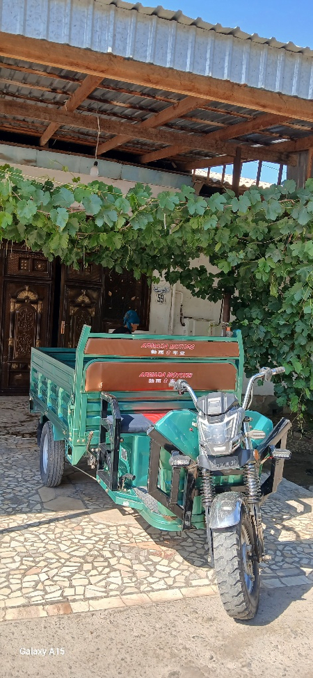 Elektron  murave