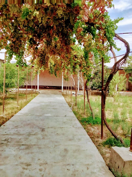 Shahar markazidan 18 sotix hovli sotiladi. Shahrisabz hovli