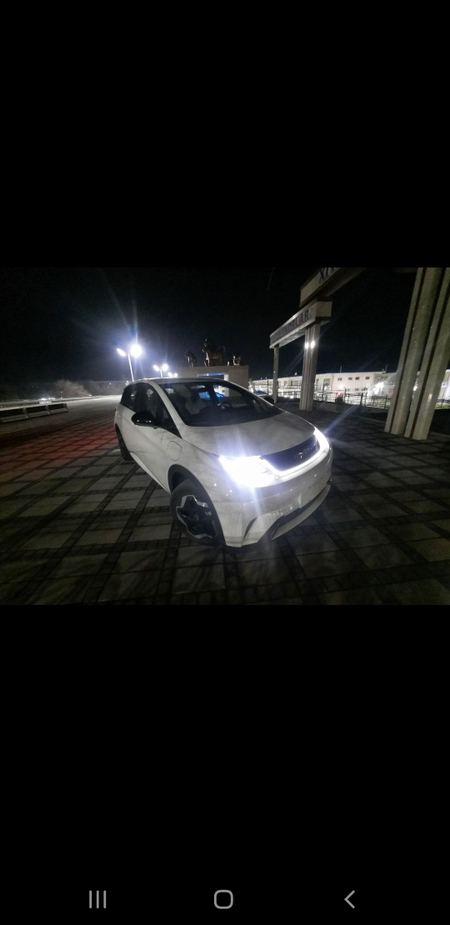 Byd dolphin (delfin)