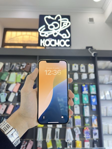 Iphone 12 pro max ideal