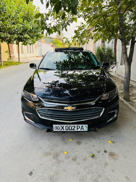 Malibu 2 2018 Top Tozza!