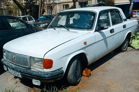 Волга 31029 своя