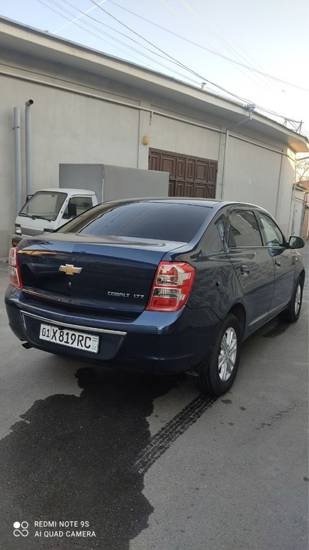Cobalt Ltz 2024