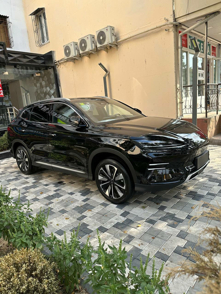 Byd champion 605
