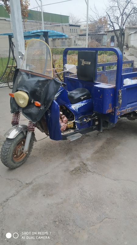 Продается муравей грузовой