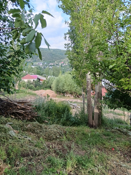Yer sotiladi chimgan da
