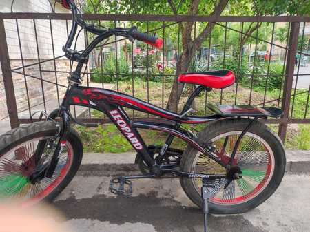 Velosepid 800.000  ko'p minilmagan