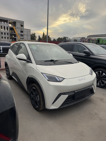 Byd seagull 2025