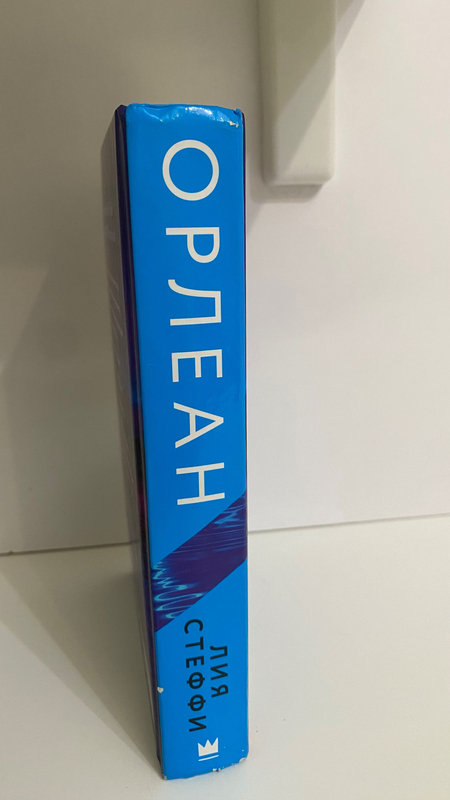 Книга Орлеан.Отличная идея подарка для подростков-девочек.
