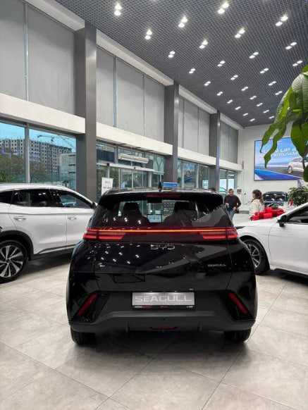 BYD Seagull от официального дилера