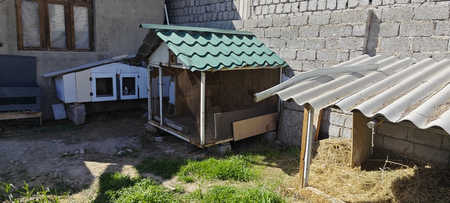 Клетка сотилади нархи 500000