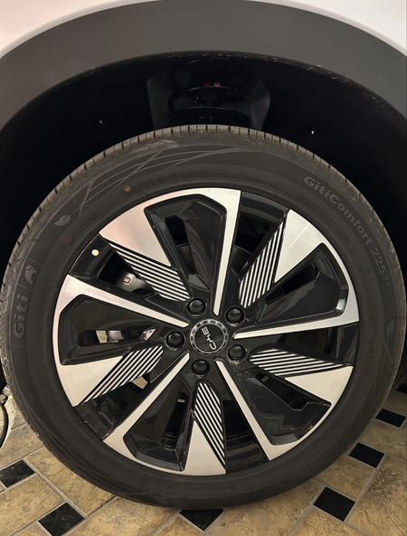 Byd champion 605 restailing 2024