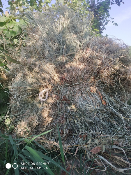 Barra mayin xashakbsotiladi nari 12000 keshiladi vog'i kotta