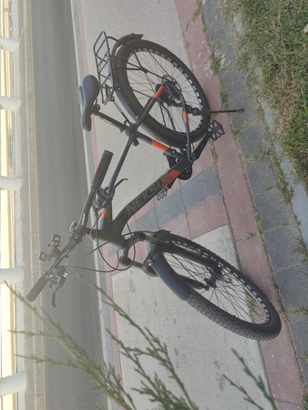 Velosiped Neksus 26