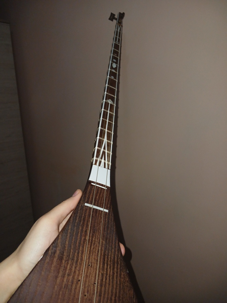 An‘anaviy Dutor Cholg‘usi