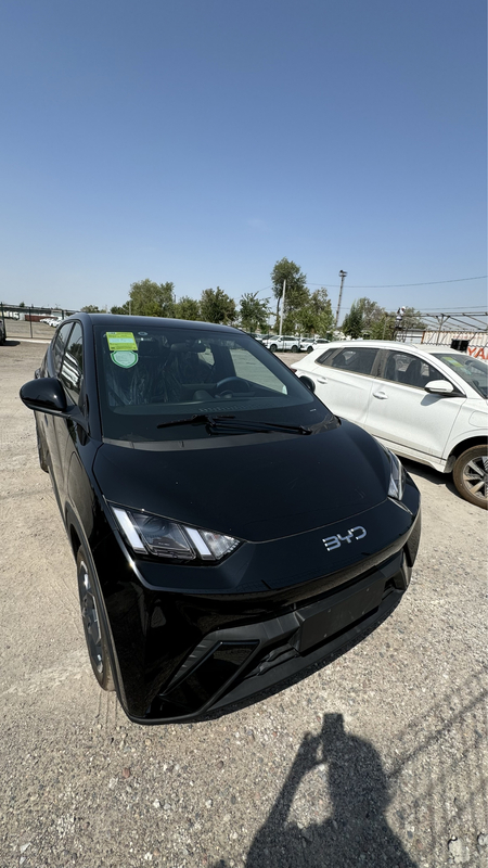 Byd Seagull Black