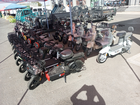 Elektro Skuter va Mopedlar