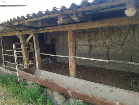 Xsusiy ferma mol boqiwga tayor waroyit