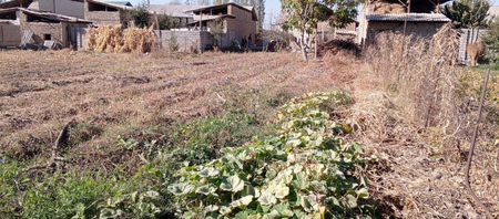 Toshkent shahar Yangi hayot tumani Gulzor mahallasida 3 sotix yer soti