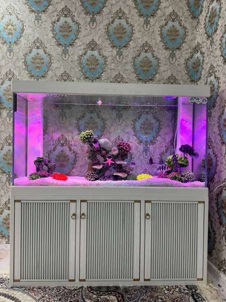 Akvarium Zavadskoy Sotiladi