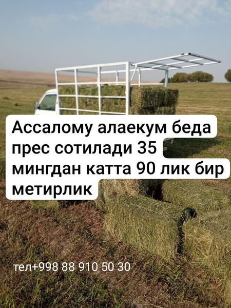 Беда прес сотилади 35 мингдан