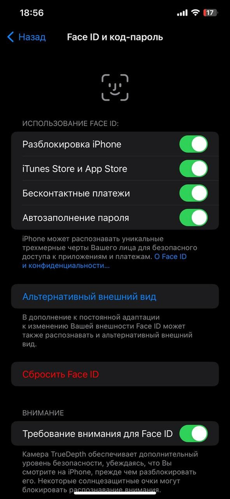 Iphone xs max 256gb