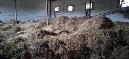Хас сотамиз брци урок
