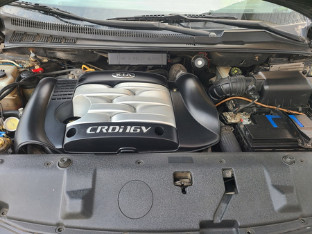 Kia Carnival 2007 yil
