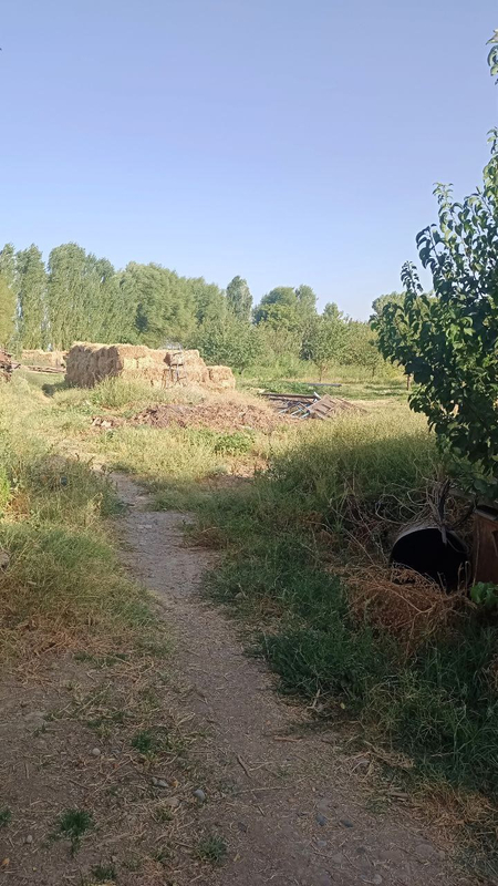 Готовый бизнес, мчж, фермерское хозяйство