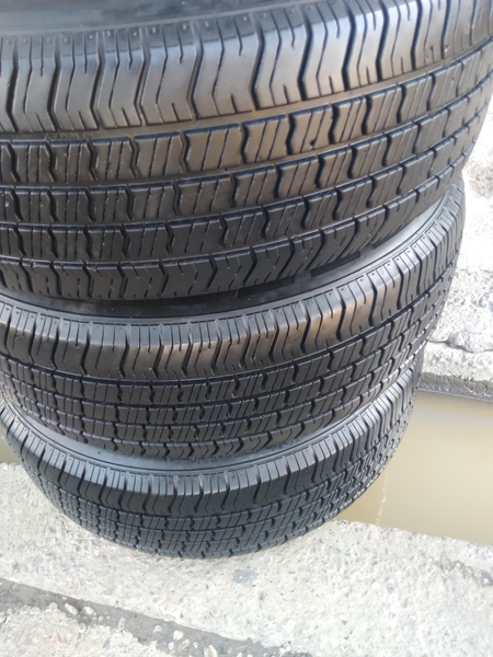 Kobilt GM 15 arginal deska balon