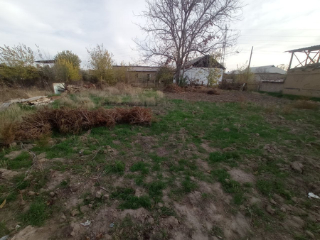 Qibray tuman qipchoq mahallasida quruq yer sotiladi