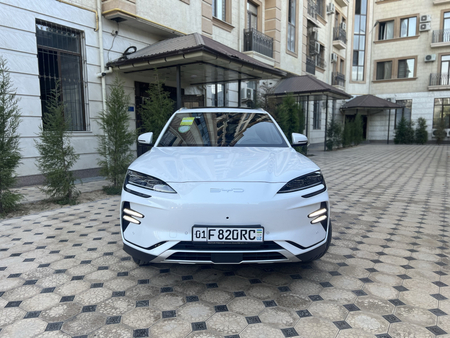 Насия Byd champion 605km