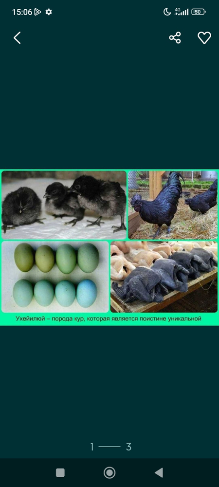 Ухейлюй.продаётся семья 1+4