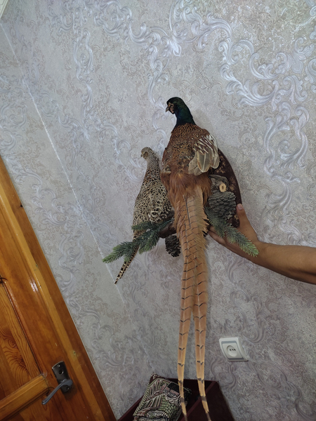 Продается сувенир