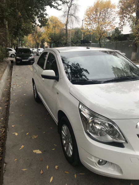 Кобалт 2019 г. Родная краска