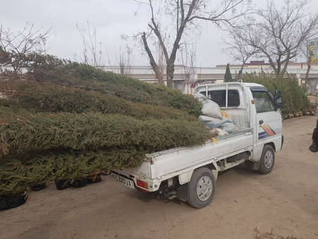 Yuk Tashish xizmati. Dostafka. Gruzaperivozka. LABO XIZMATI. TOSHKENT