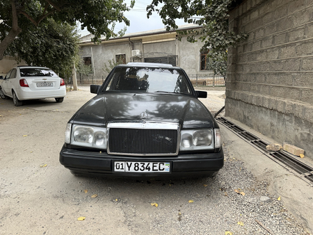Mers 124 sotladi naxadu