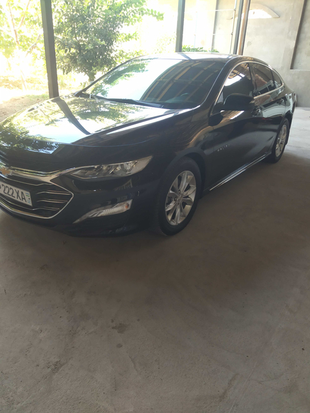 Malibu premer 2021,22 premier